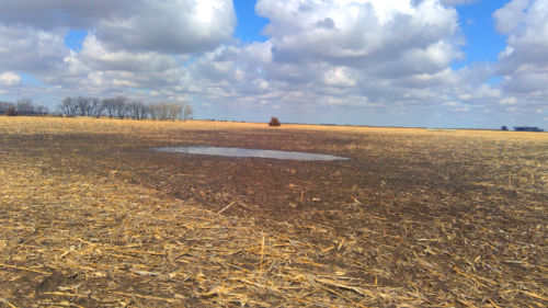 Federal Overreach: The Nation's Most Expensive Mud Puddle | Diane Dimond